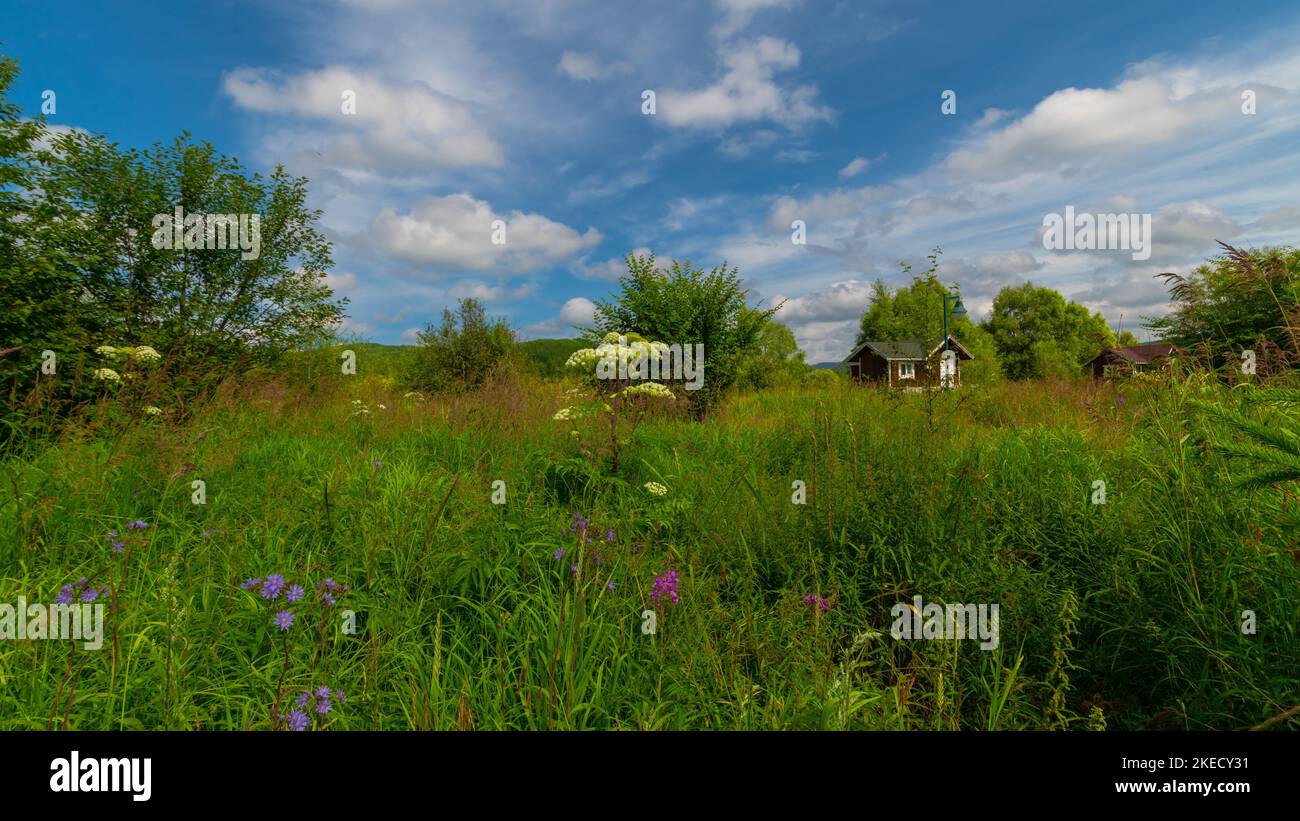 A low-angle of forest cabin with colorful flowers, cloudy, sunlit sky ...
