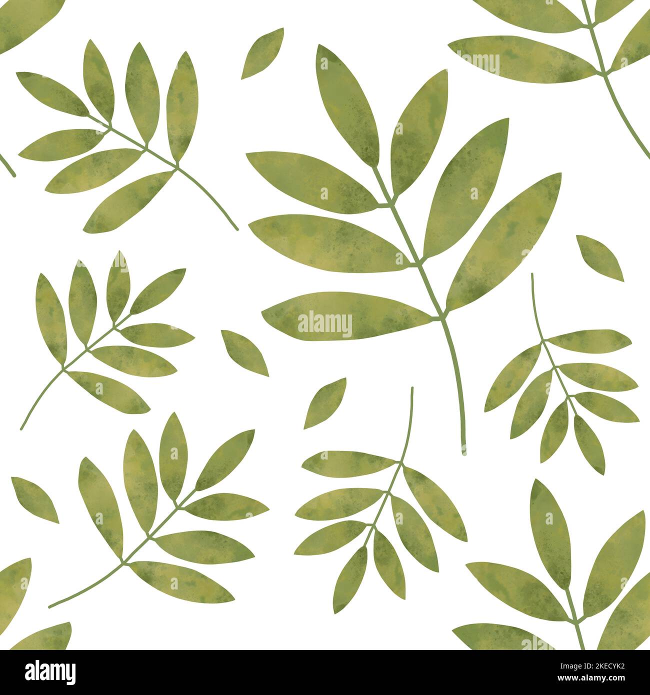 Watercolor greenery seamless pattern Cut Out Stock Images & Pictures ...