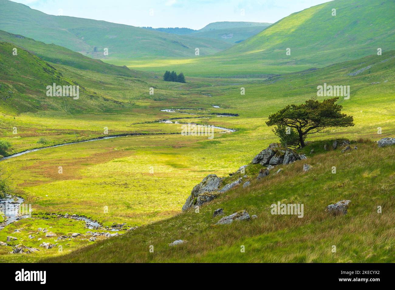 The Cambrian mountains of Mid Wales is a wild and remote area Stock ...