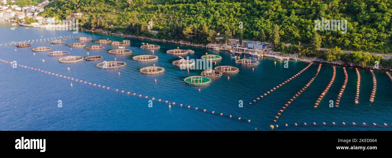 Oyster farm in the Mediterranean. Montenegro, Kotor BANNER, LONG FORMAT ...