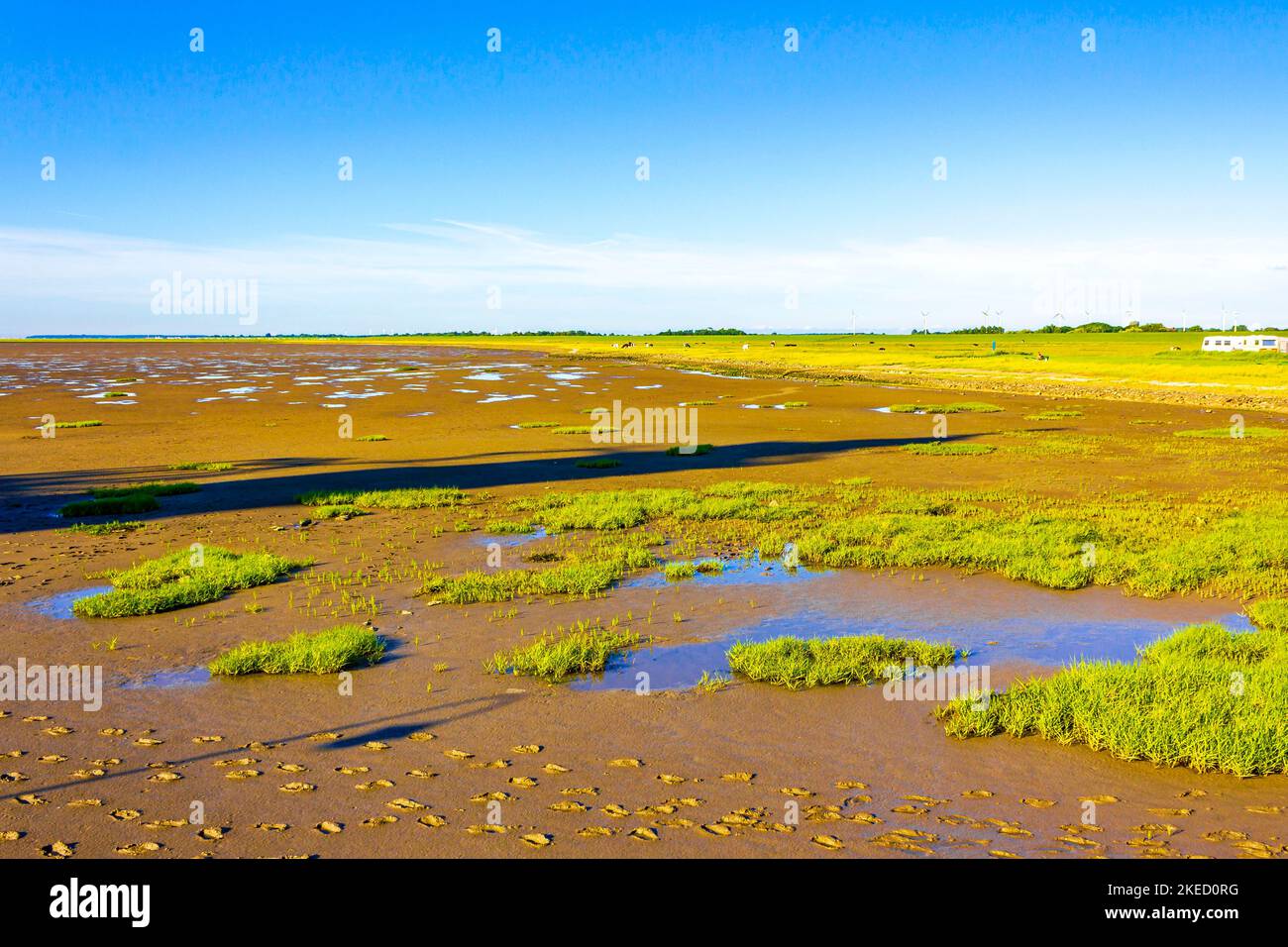 Germany lower cuxhaven beach watt hi-res stock photography and images ...