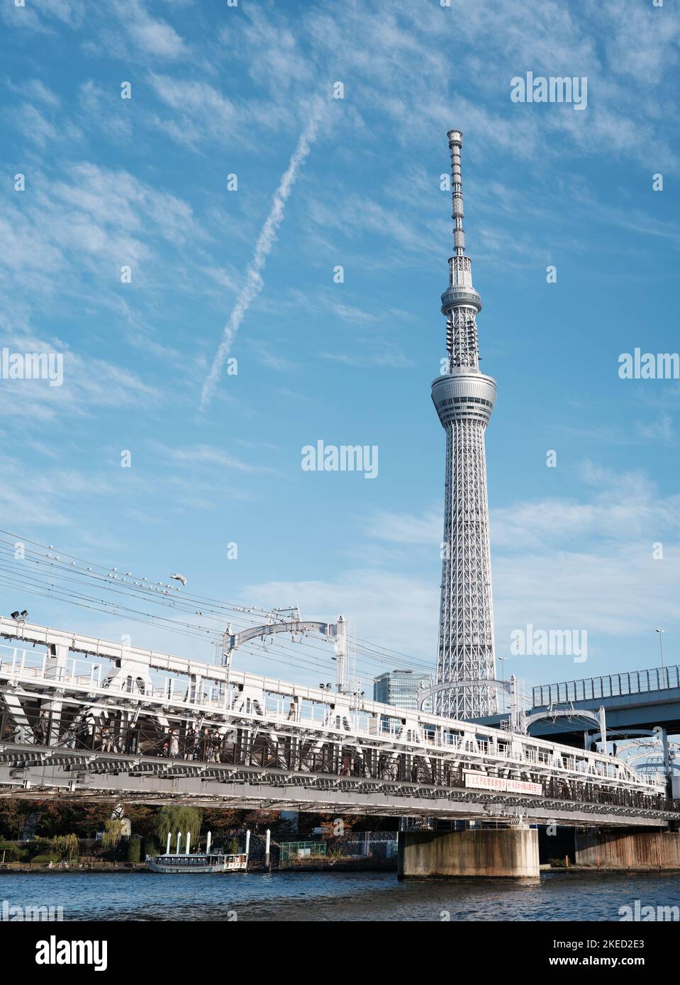 A vertical shot of Tokyo Skytree in Japan Stock Photo - Alamy