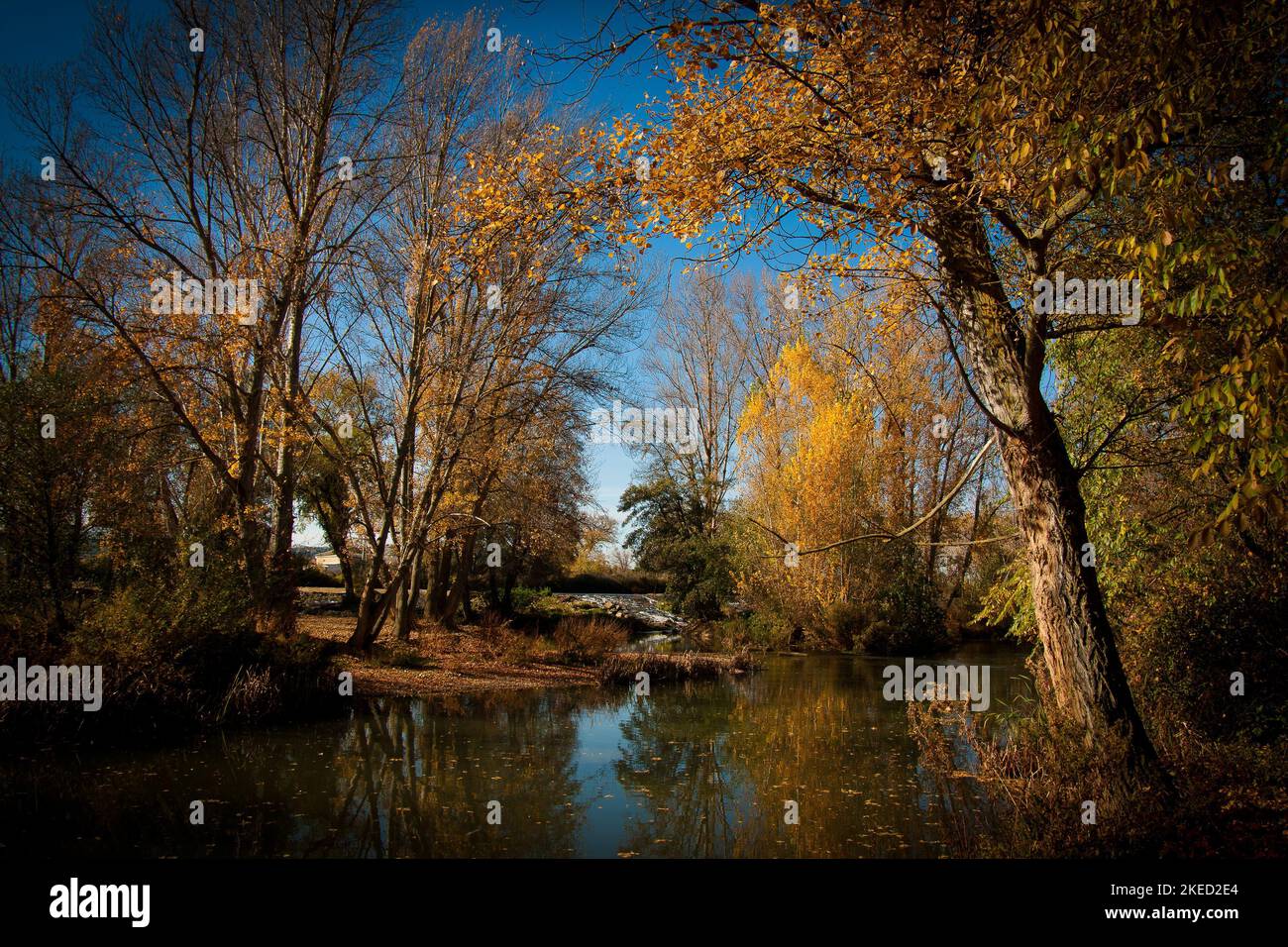 An autumn landscape with trees and a river Stock Photo - Alamy