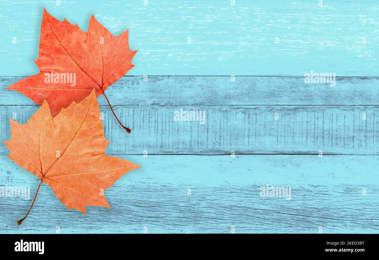 a blue background with autumn leaves Stock Photo - Alamy