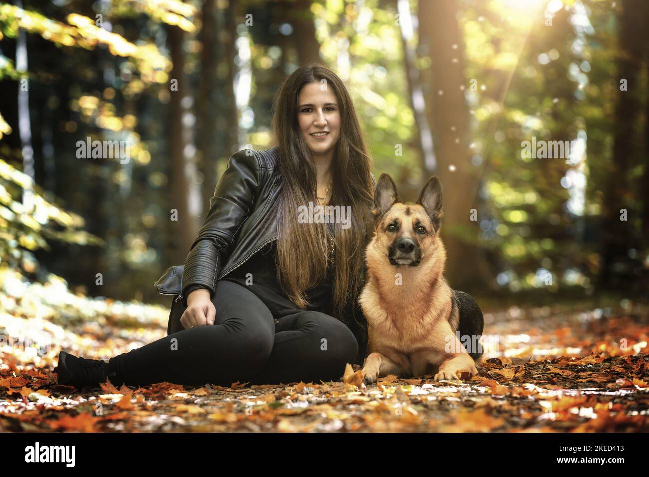 German shepherd sunrise hi-res stock photography and images - Alamy
