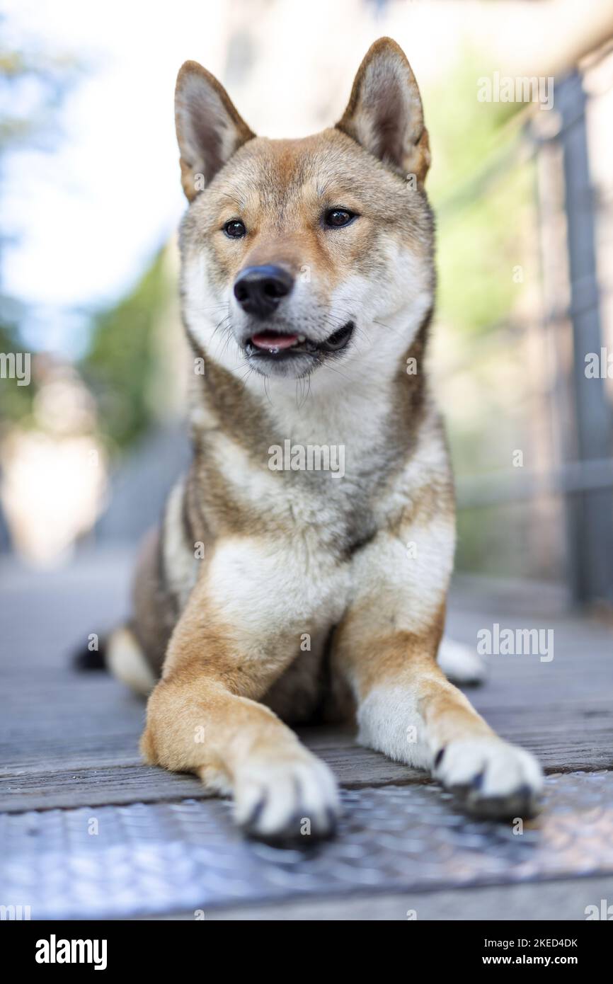 Kens bridge hi-res stock photography and images - Alamy