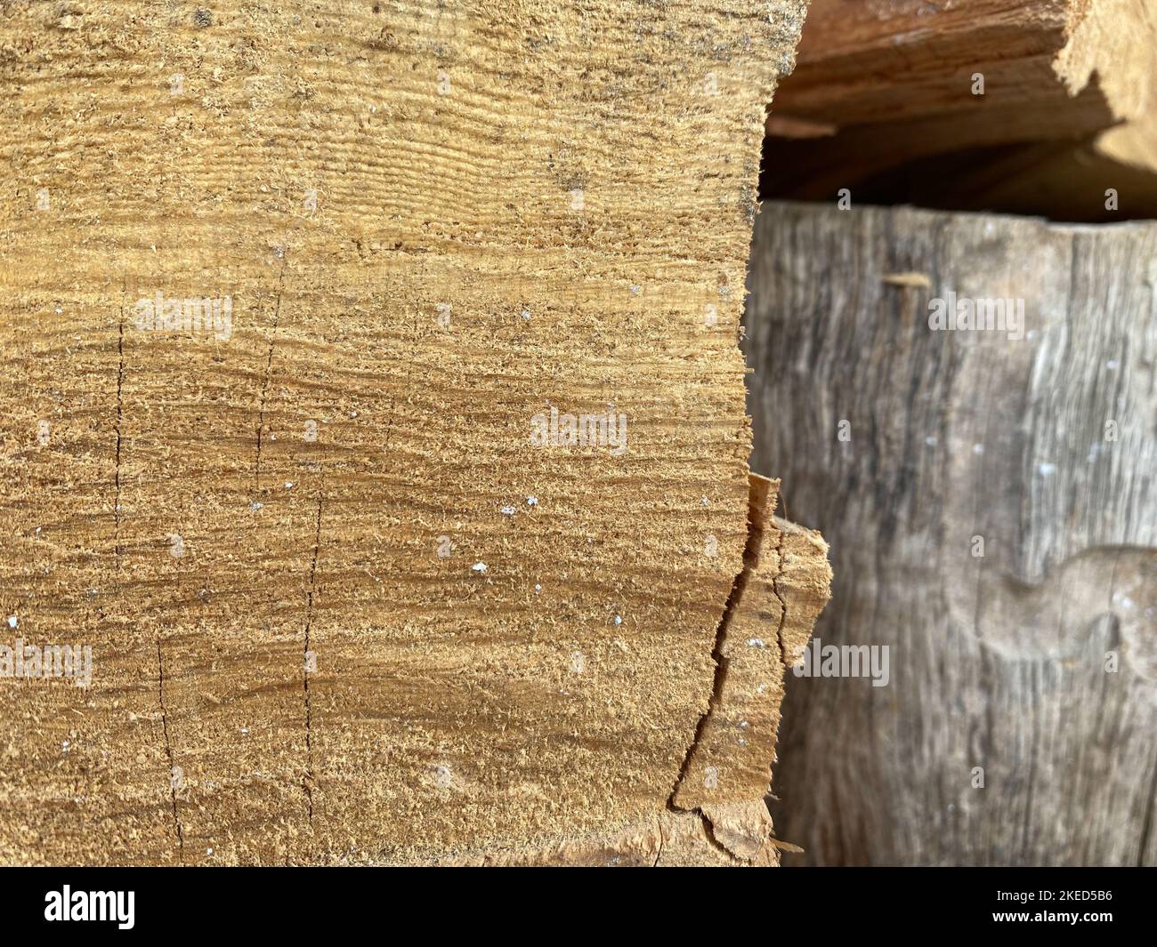 Piles of wooden boards, planking. Wood timber stack of firewood ...