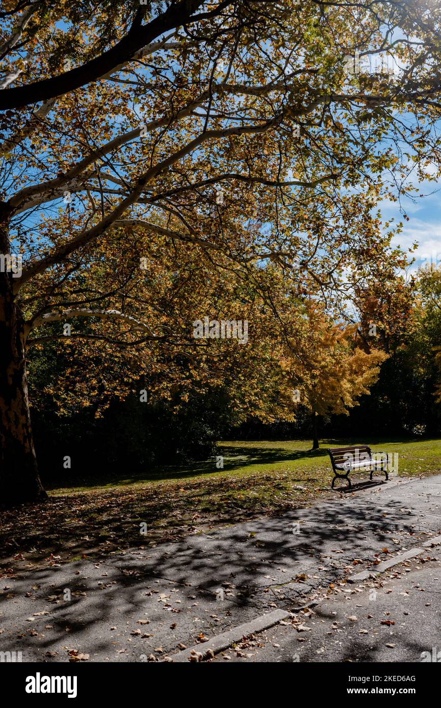 Neagara falls hi-res stock photography and images - Alamy