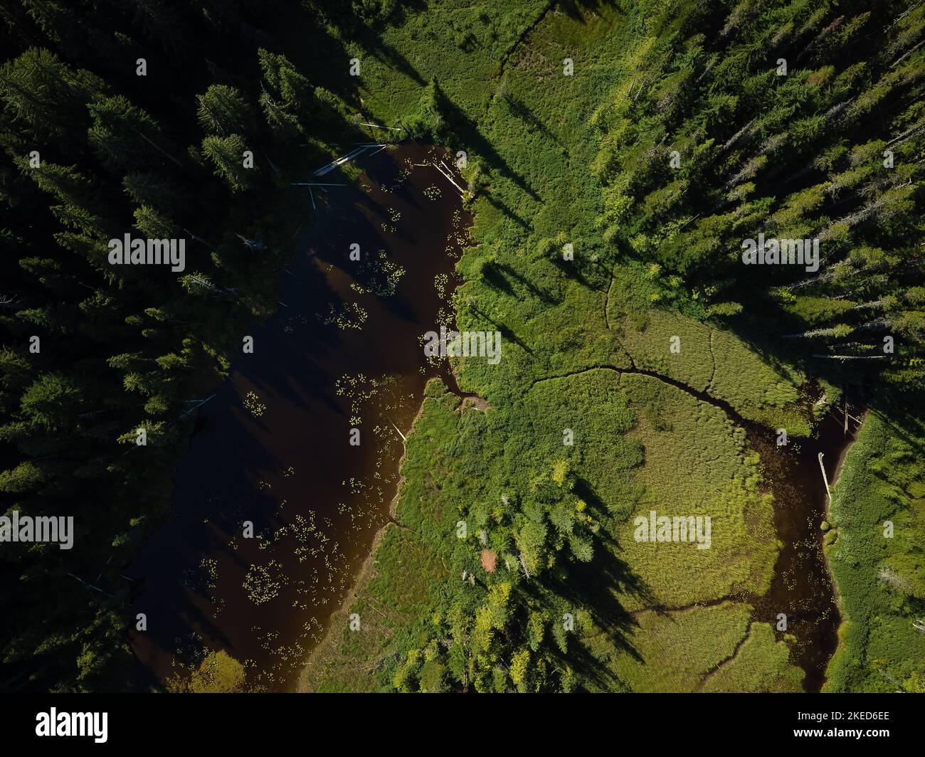 Glade map hi-res stock photography and images - Alamy