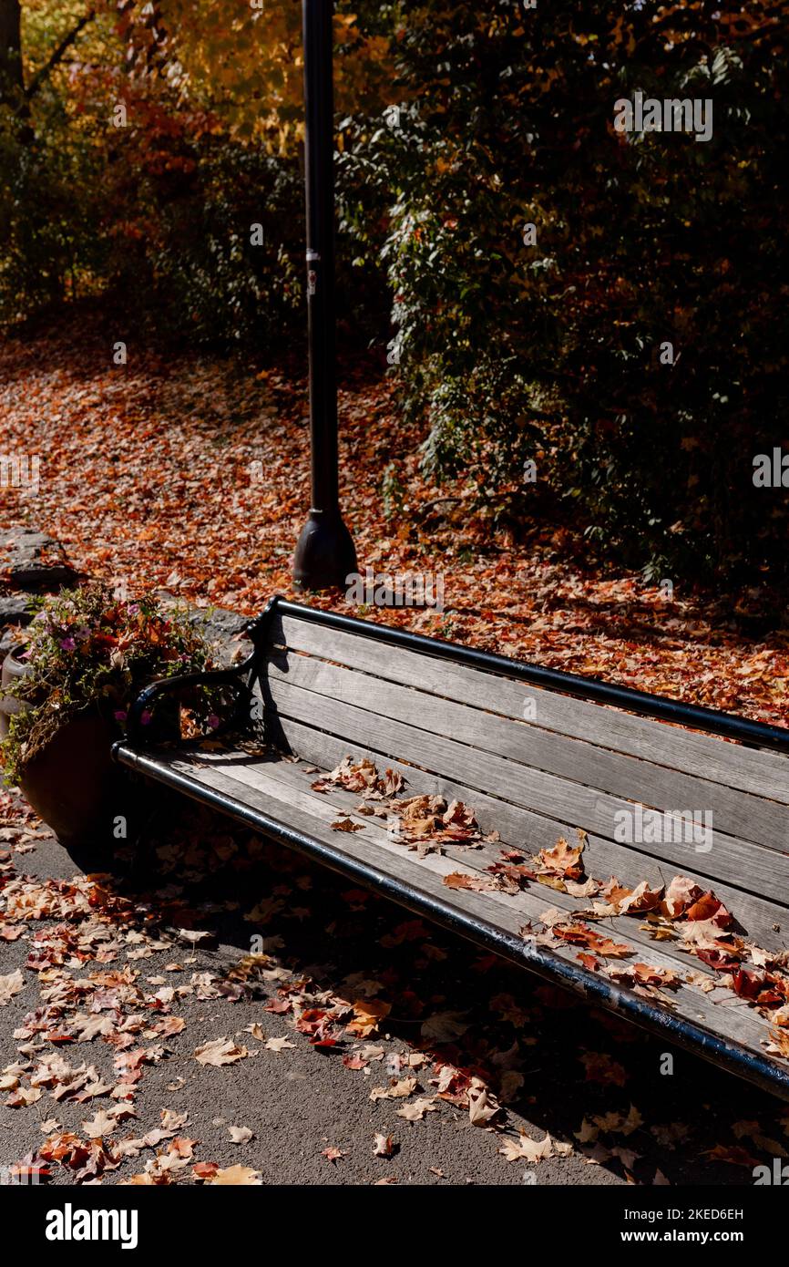 Neagara falls hi-res stock photography and images - Alamy