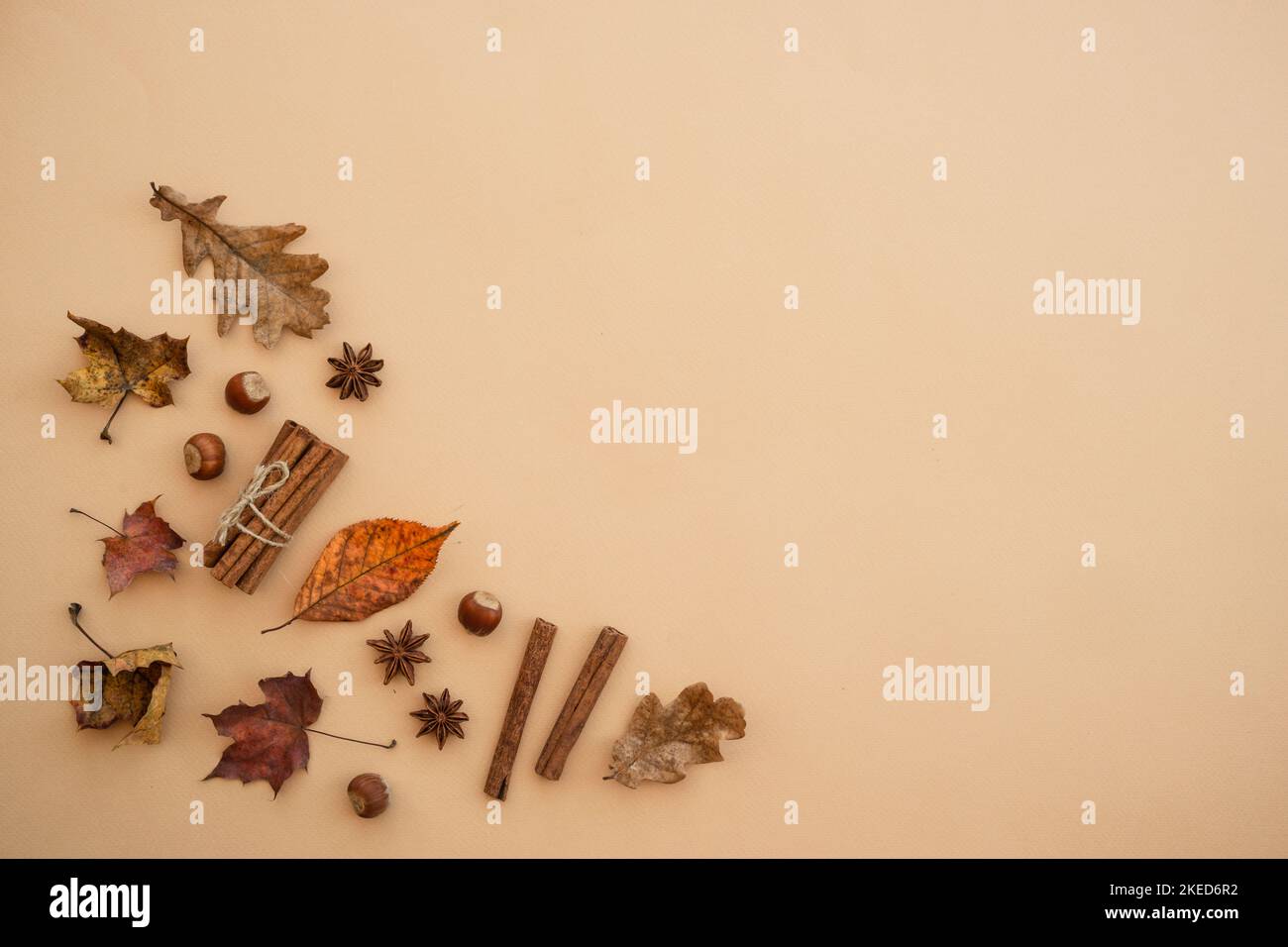 Autumn flat lay background on white Stock Photo - Alamy