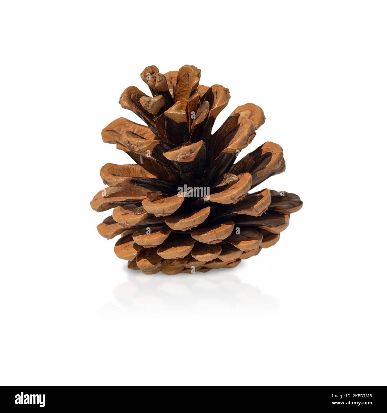 Cone isolate hi-res stock photography and images - Alamy