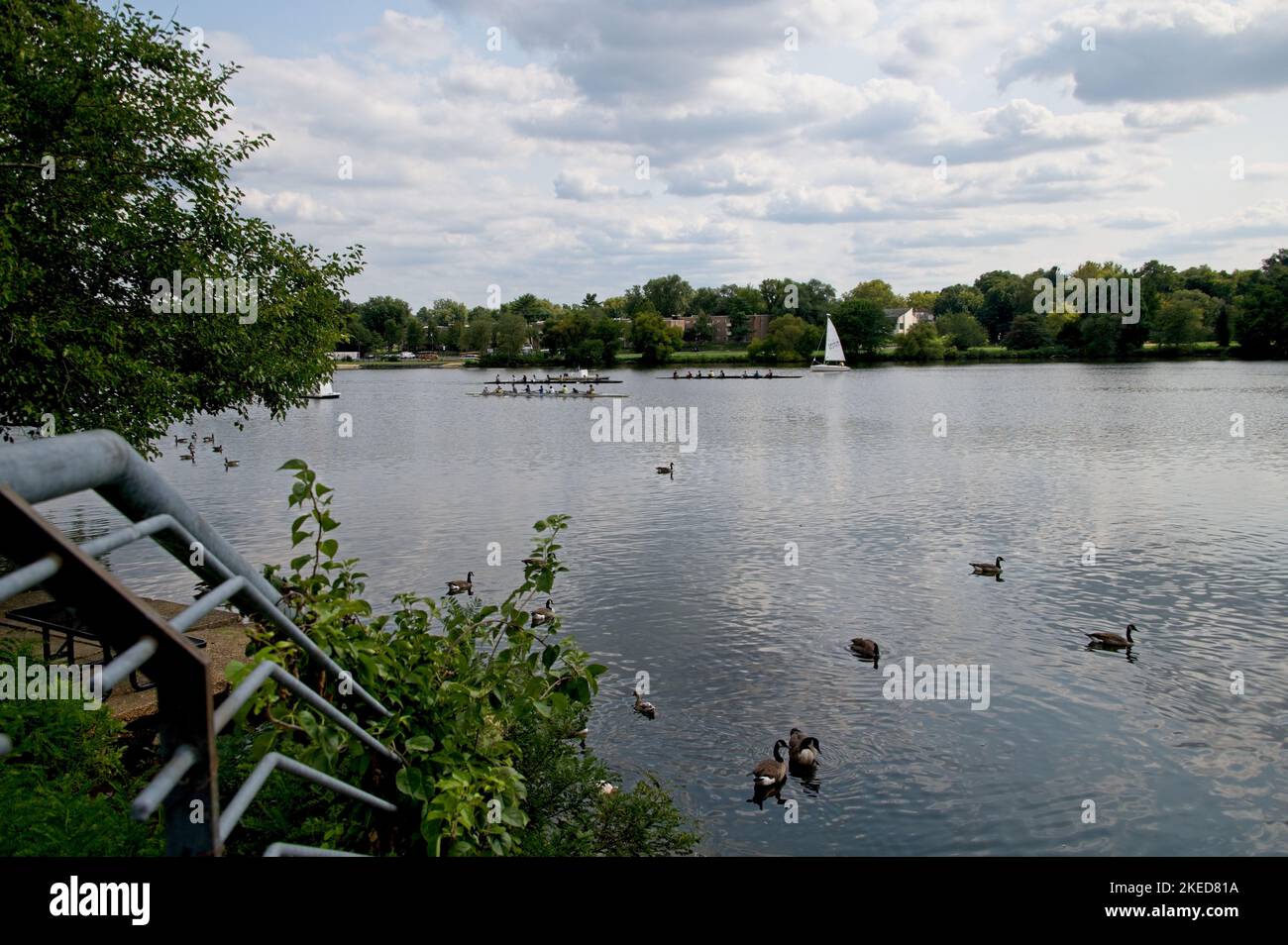 Fun sailing and rowing on the Cooper RIver in PEnnsauken NJ Stock Photo ...