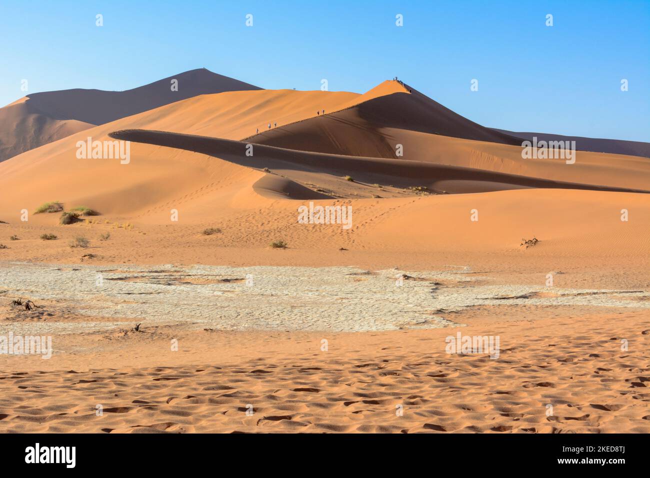 People climbing Big Daddy or Crazy Dune, the tallest sand dune between ...