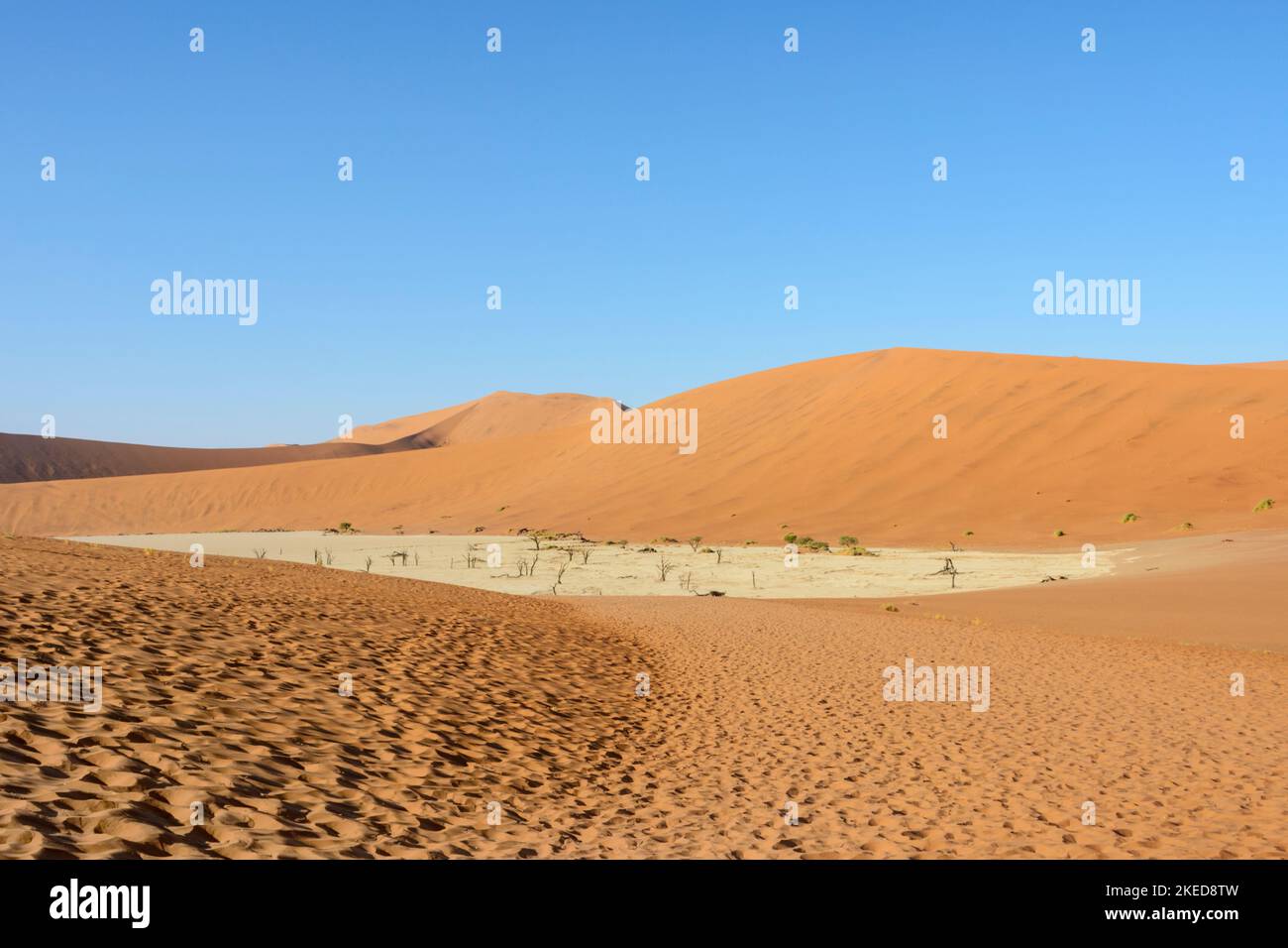 Giant sand dunes surrounding Dead Vlei, near Sossusvlei, in the Namib ...