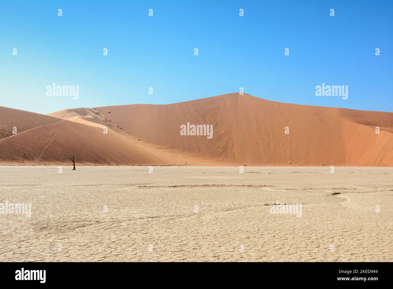 Giant sand dunes surrounding Dead Vlei, near Sossusvlei, in the Namib ...