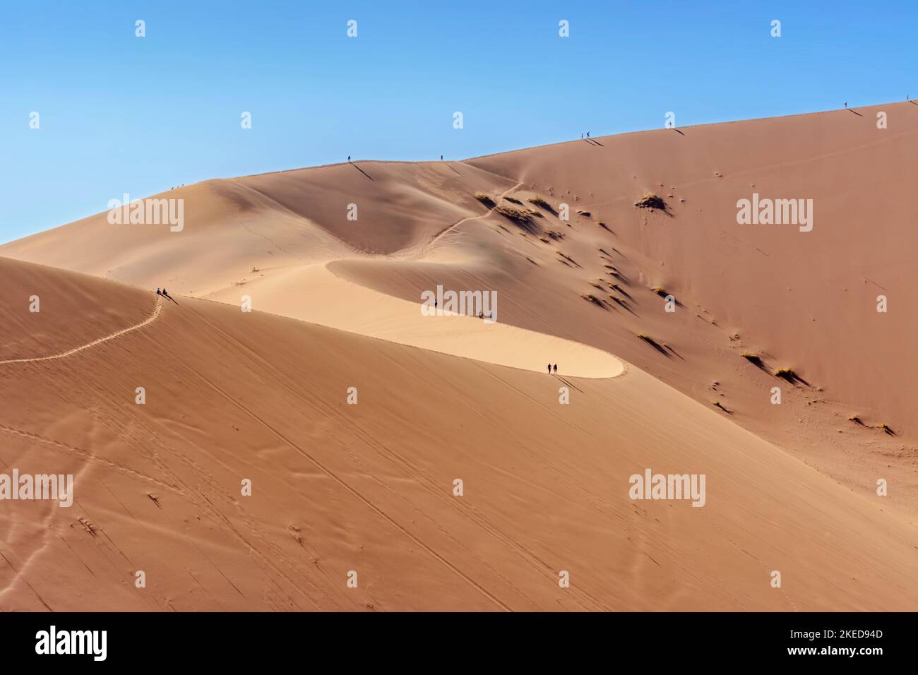 Giant sand dunes surrounding Dead Vlei, near Sossusvlei, in the Namib ...