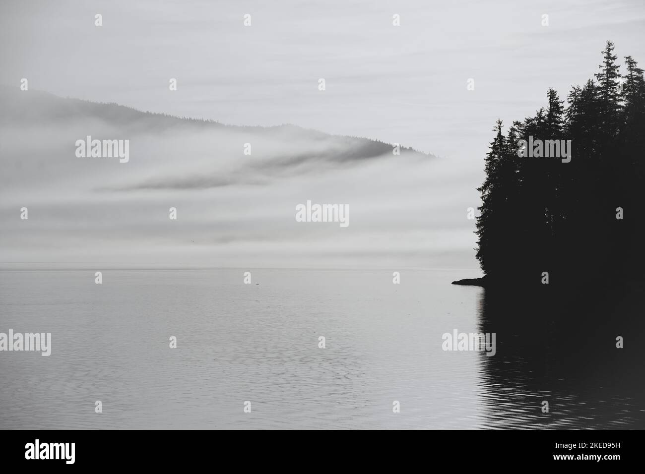 A beautiful grayscale shot of Baranof island with lush forest on ...