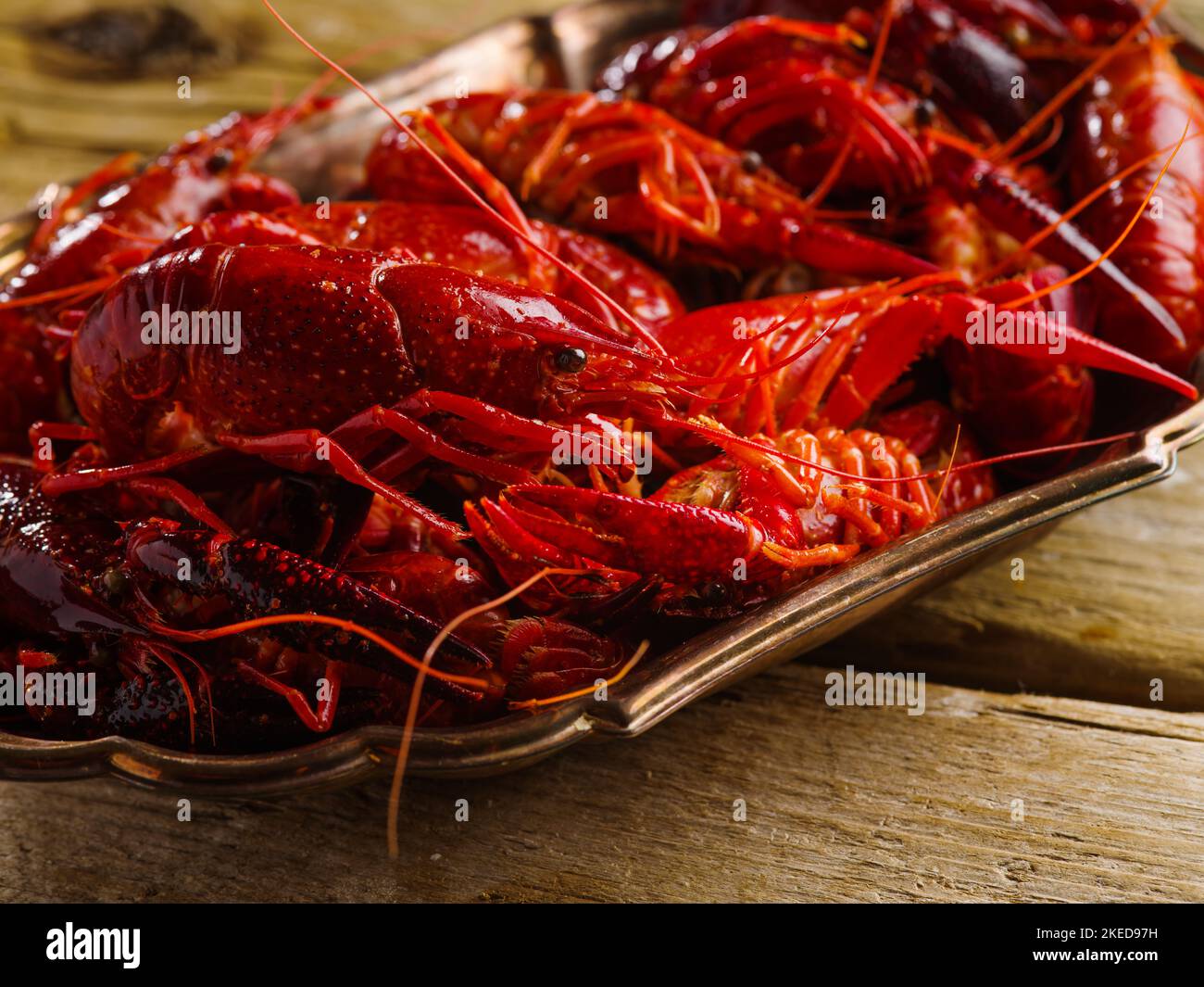 Tentacle border hi-res stock photography and images - Alamy