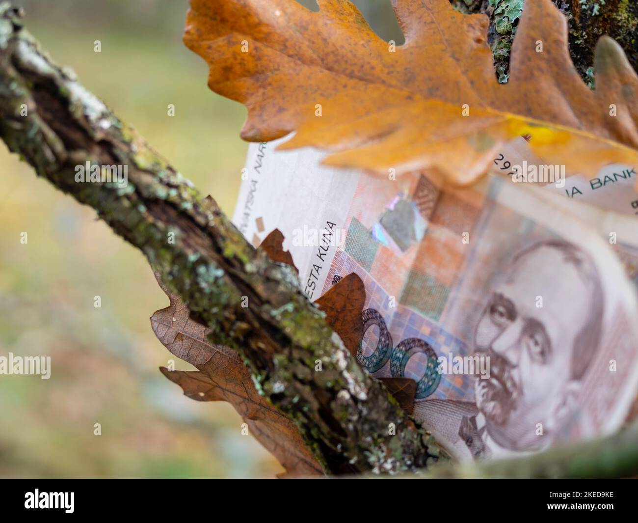 Several Croatian Croatia Kuna Kune Kunas banknotes had has fallen yet ...