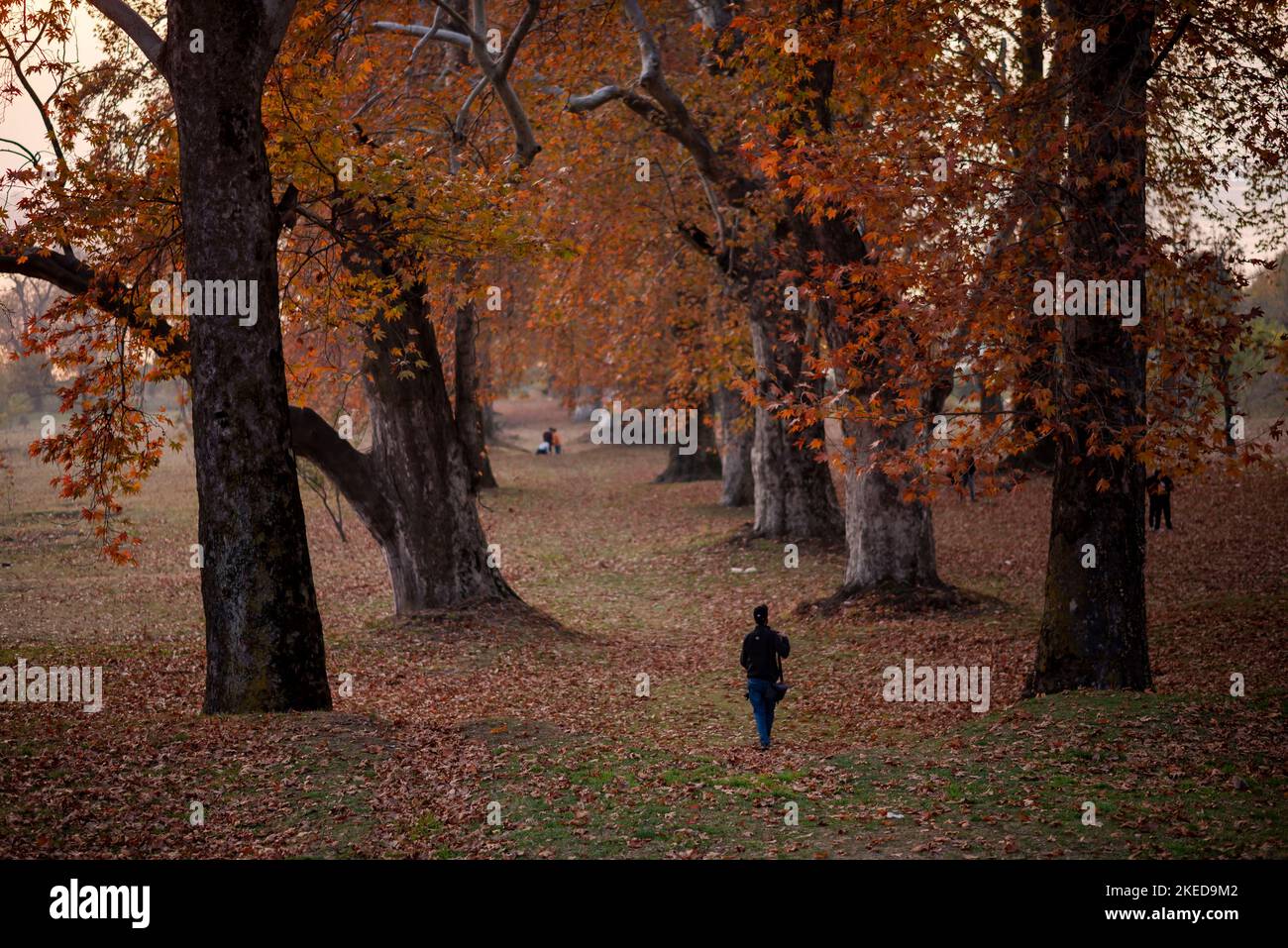 November 11, 2022, Srinagar, Jammu and Kashmir, India: A man walks on ...