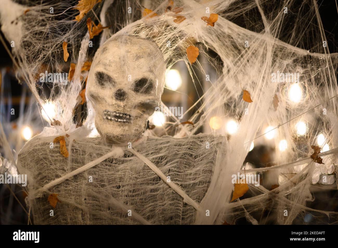 Tissue death body hi-res stock photography and images - Alamy