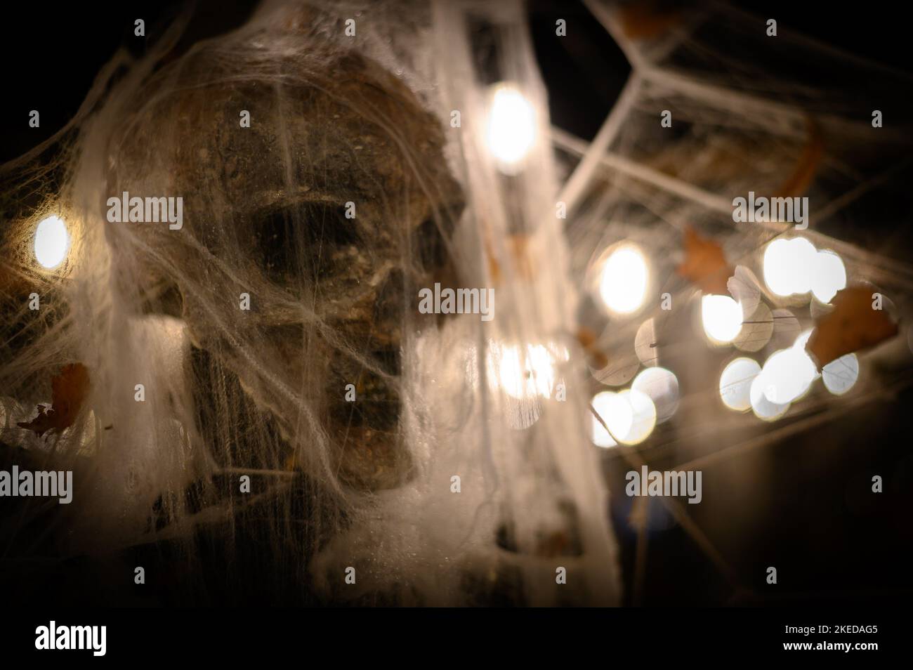 Tissue death body hi-res stock photography and images - Alamy