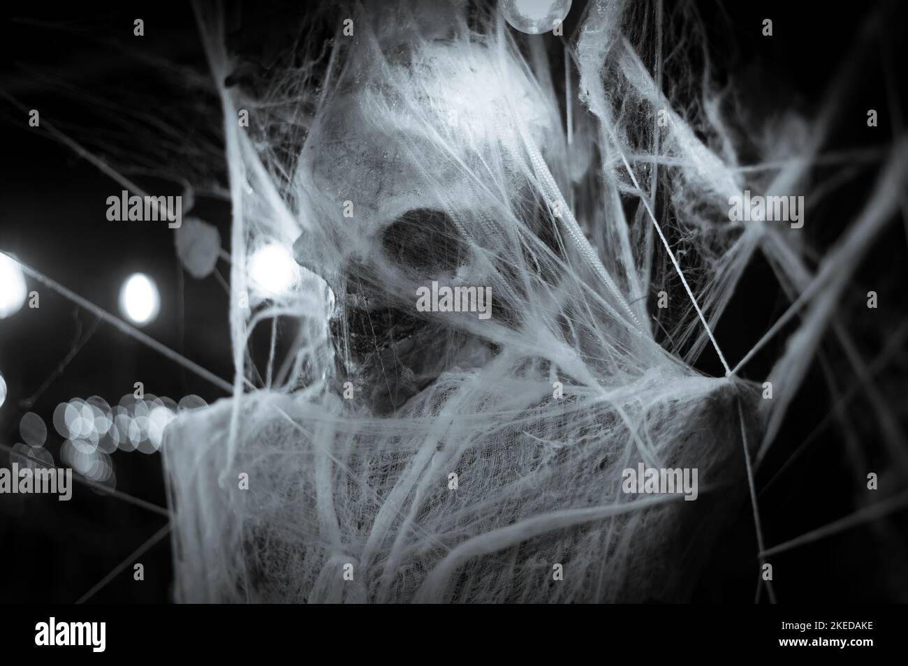 Skeleton decoration for Halloween wrapped in spider web and tissue ...