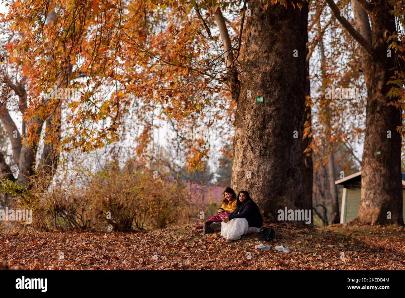November 11, 2022, Srinagar, Jammu and Kashmir, India: Visitors sit on ...