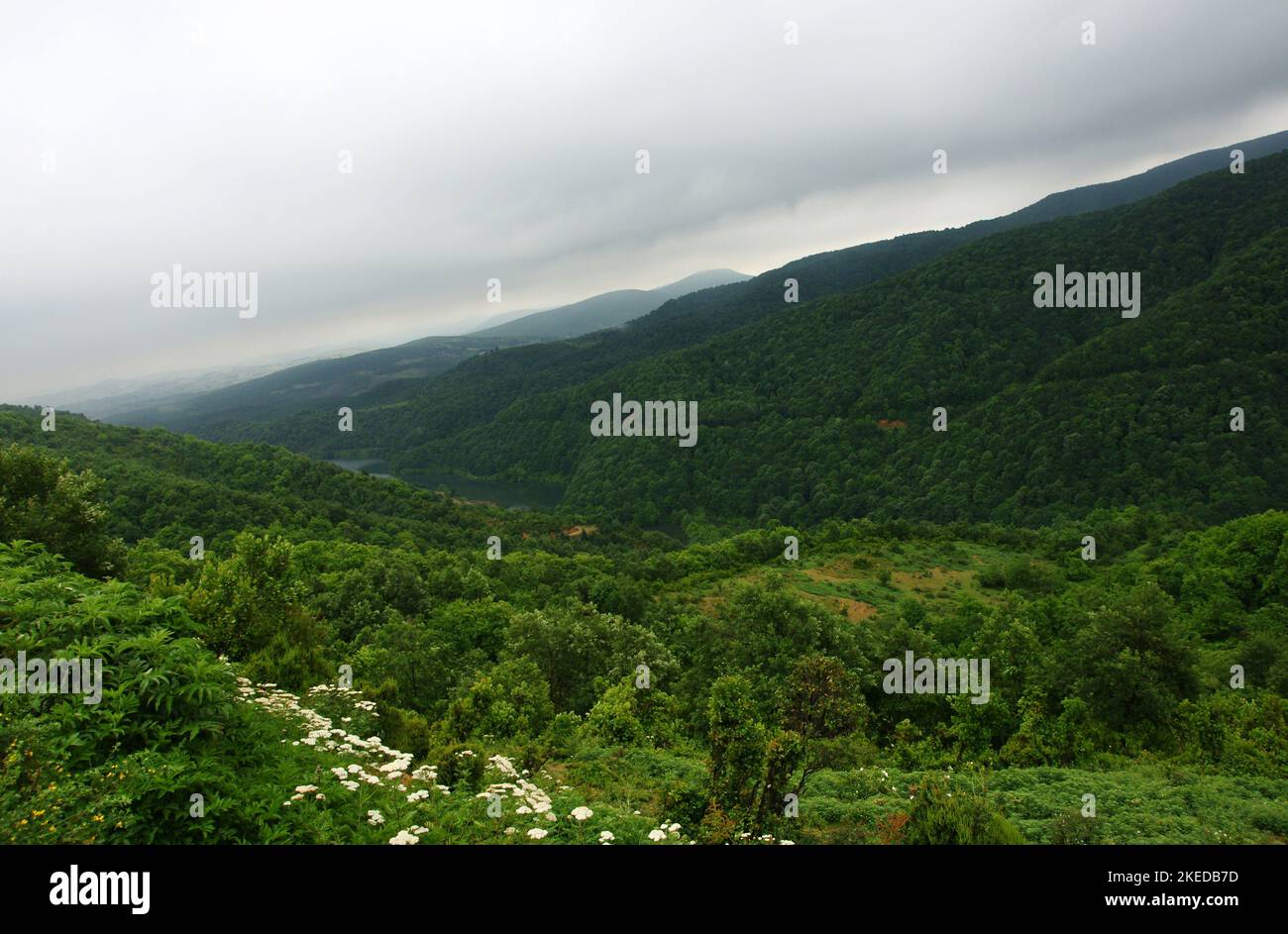 Gökçe Dam Lake, located in Yalova, Turkey, is an important tourist area ...