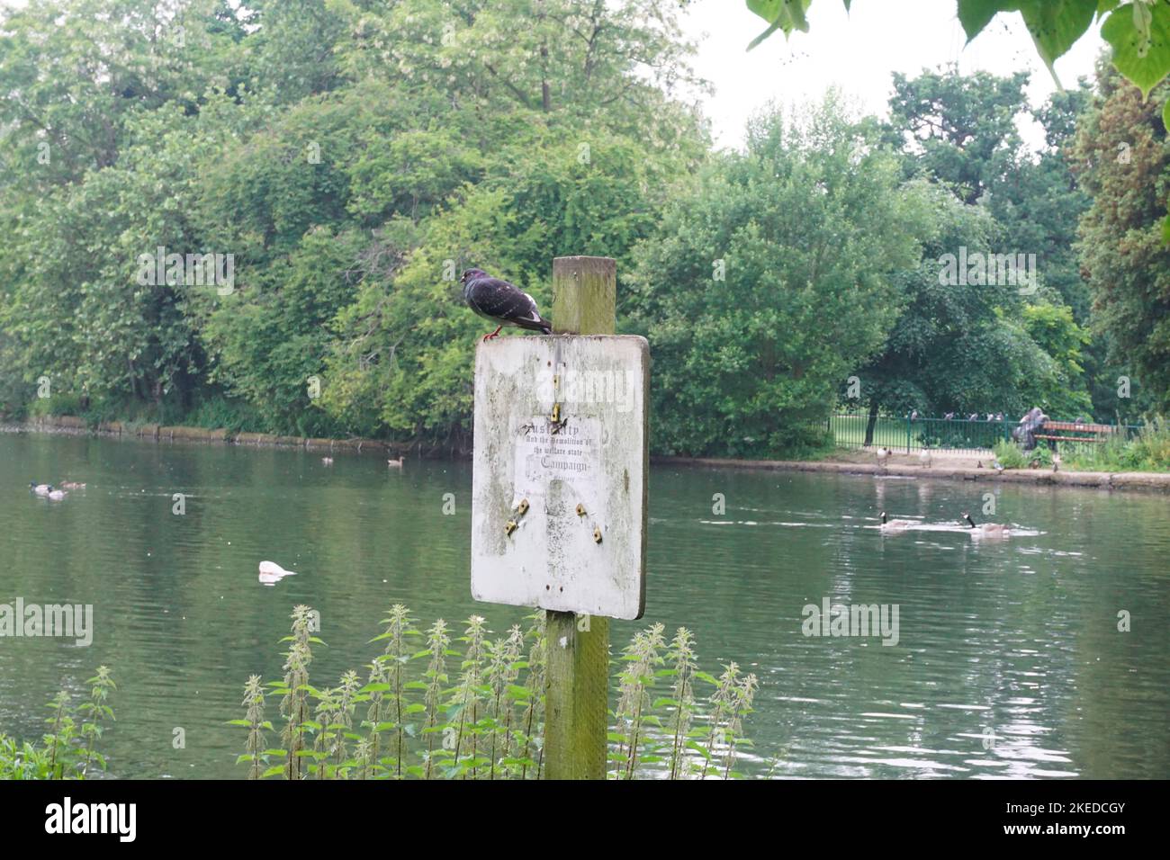 A lake and sections of the river Effra at Crystal Palace Pk in london ...