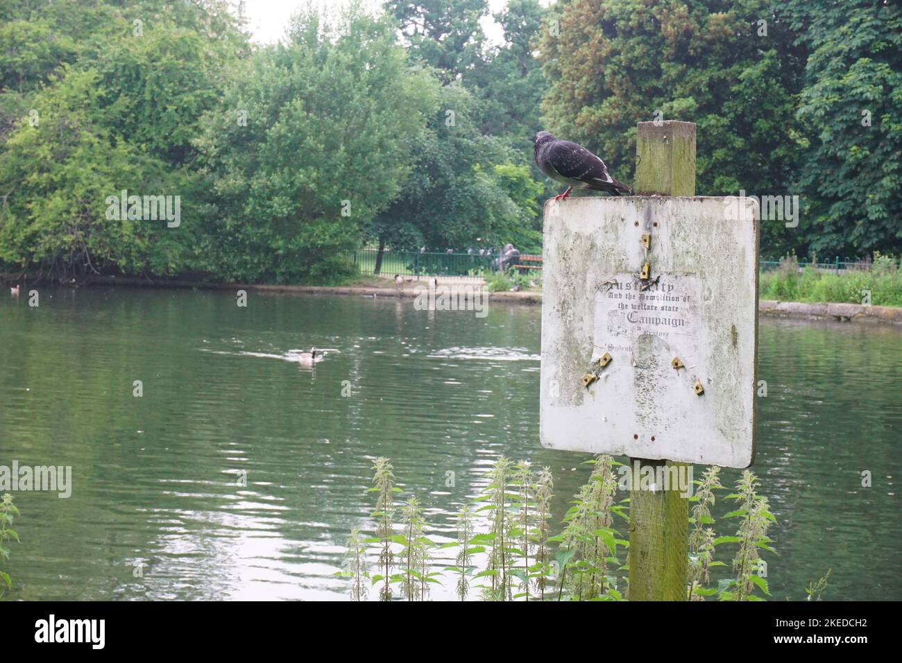 A lake and sections of the river Effra at Crystal Palace Pk in london ...