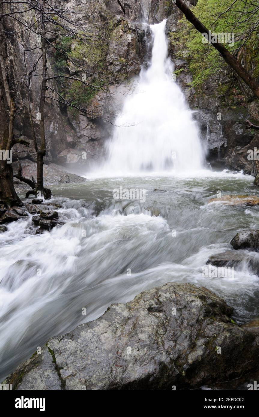 Located in Yalova, Turkey, Erikli Double Waterfalls is one of the most ...