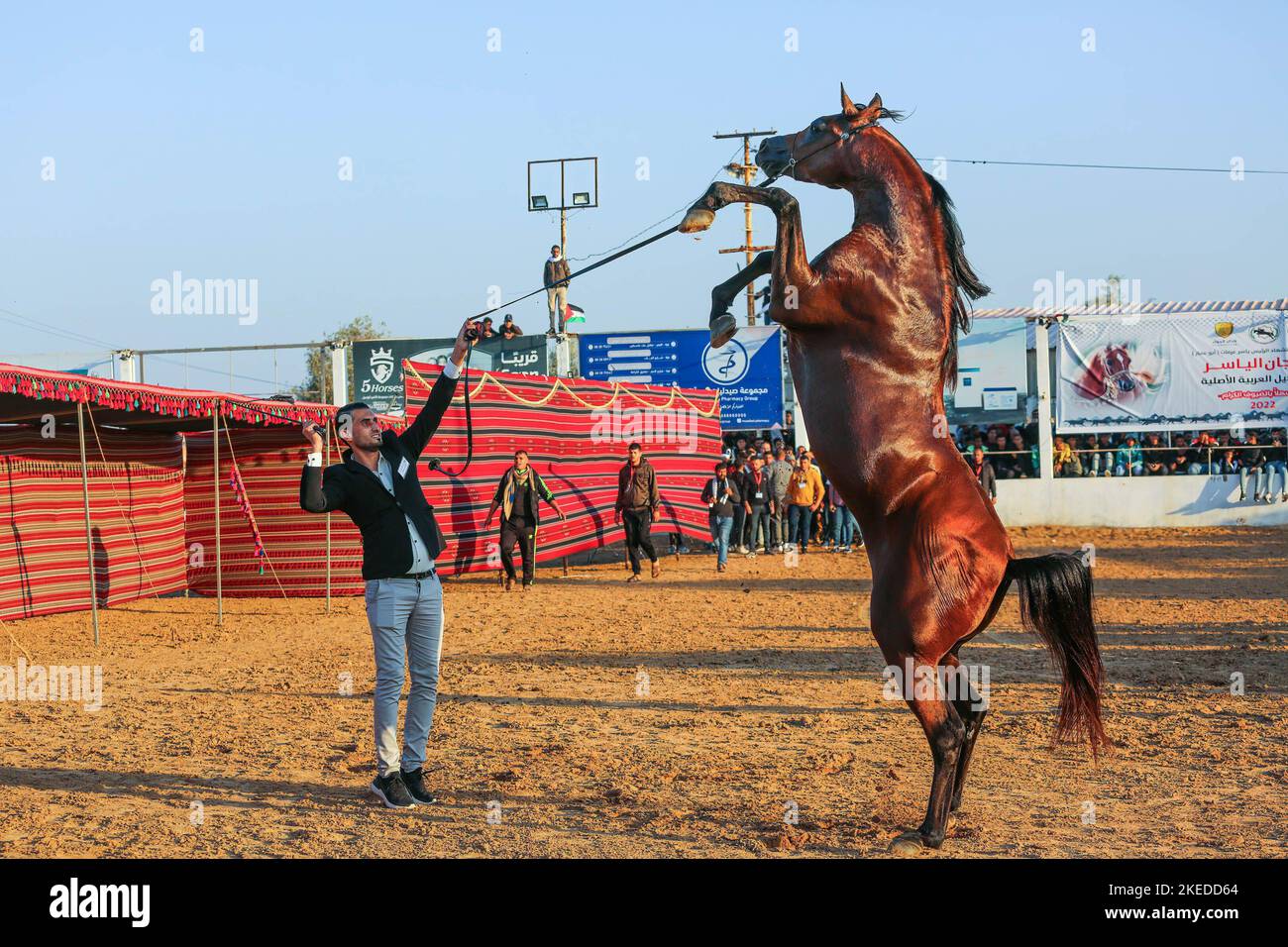 A Palestinian participant displays the skills of his horse during the ...