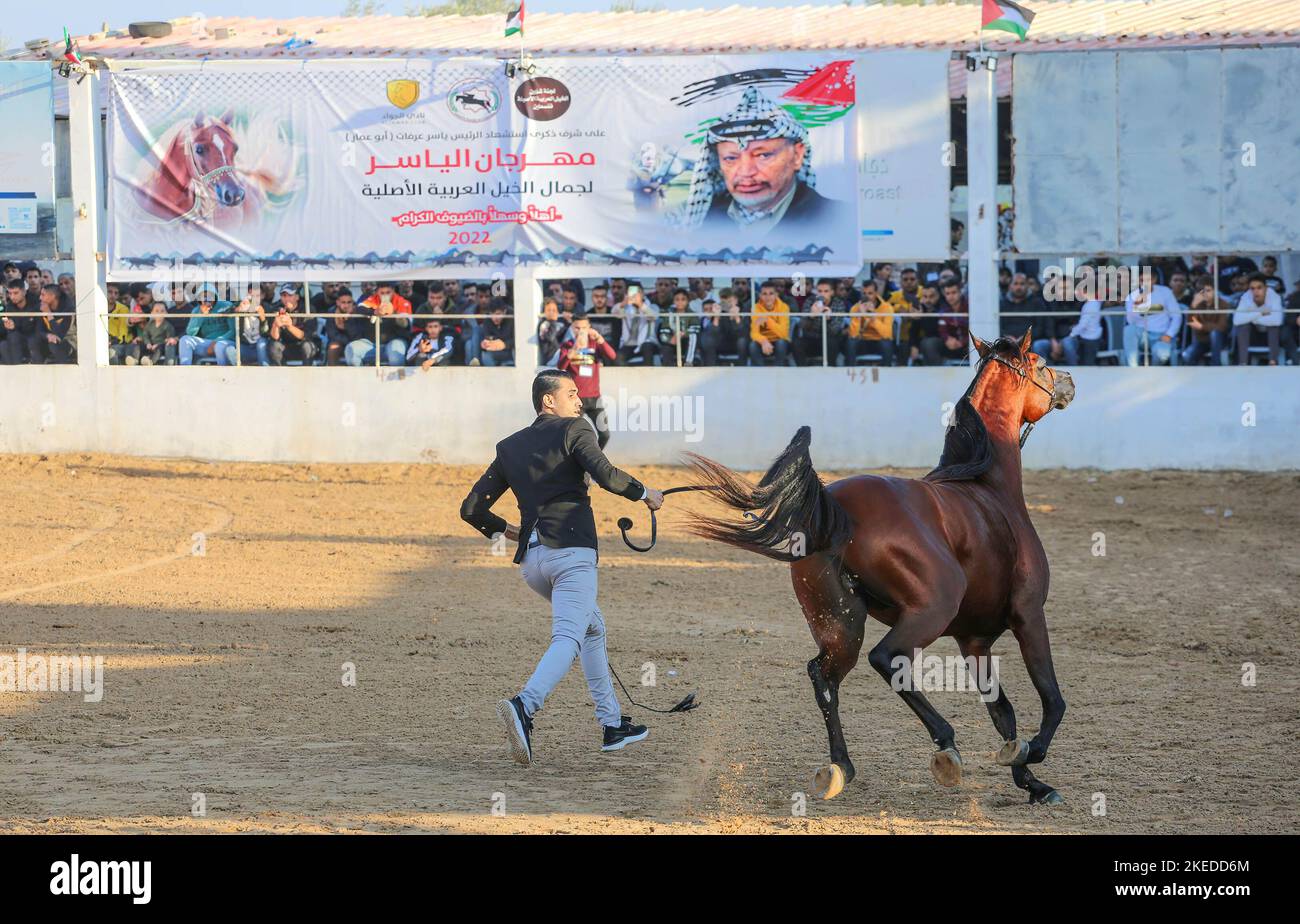 A Palestinian participant displays the skills of his horse during the ...