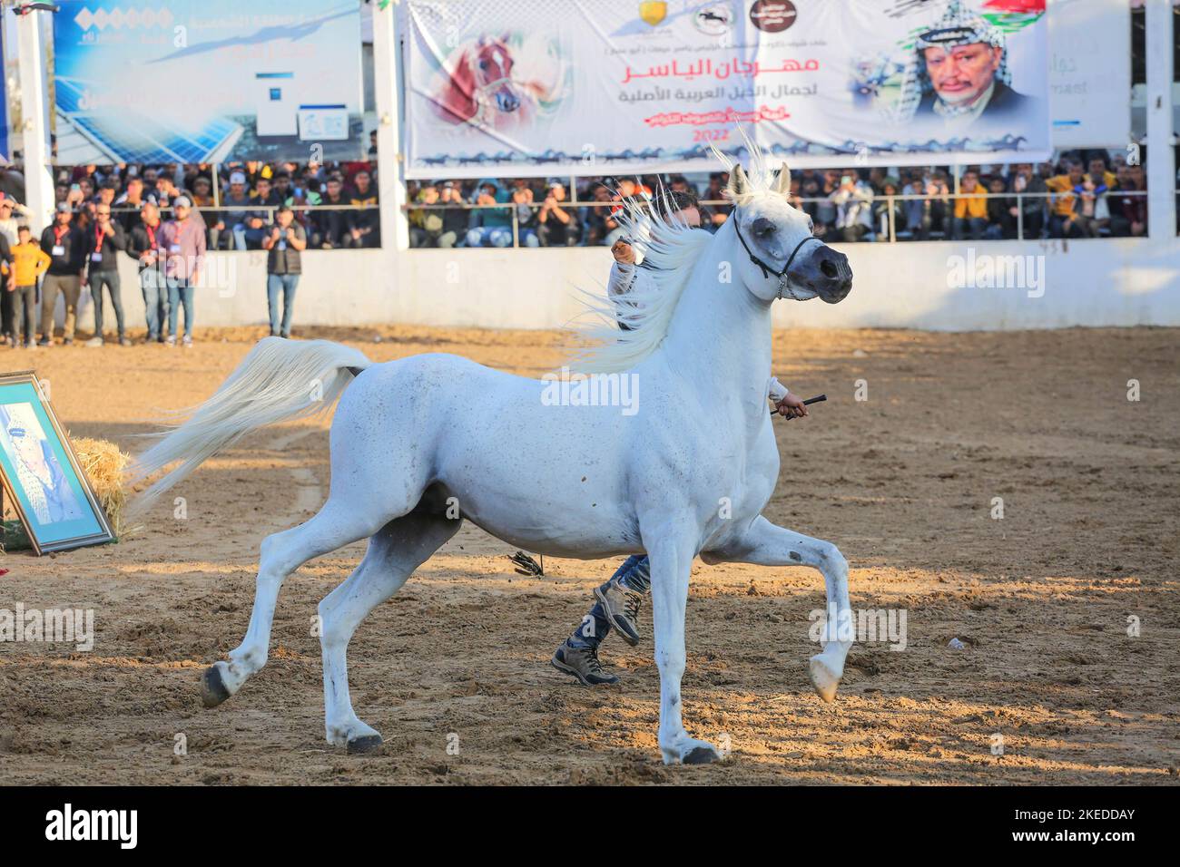 Gaza, Palestine. 11th Nov, 2022. A Palestinian participant displays the ...