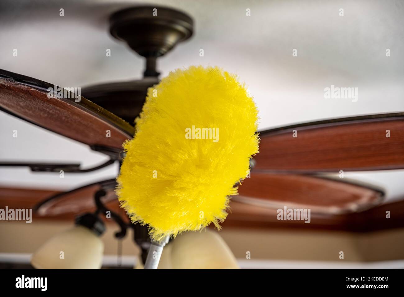 Using a wand feather duster to remove and clean dust from a ceiling fan ...