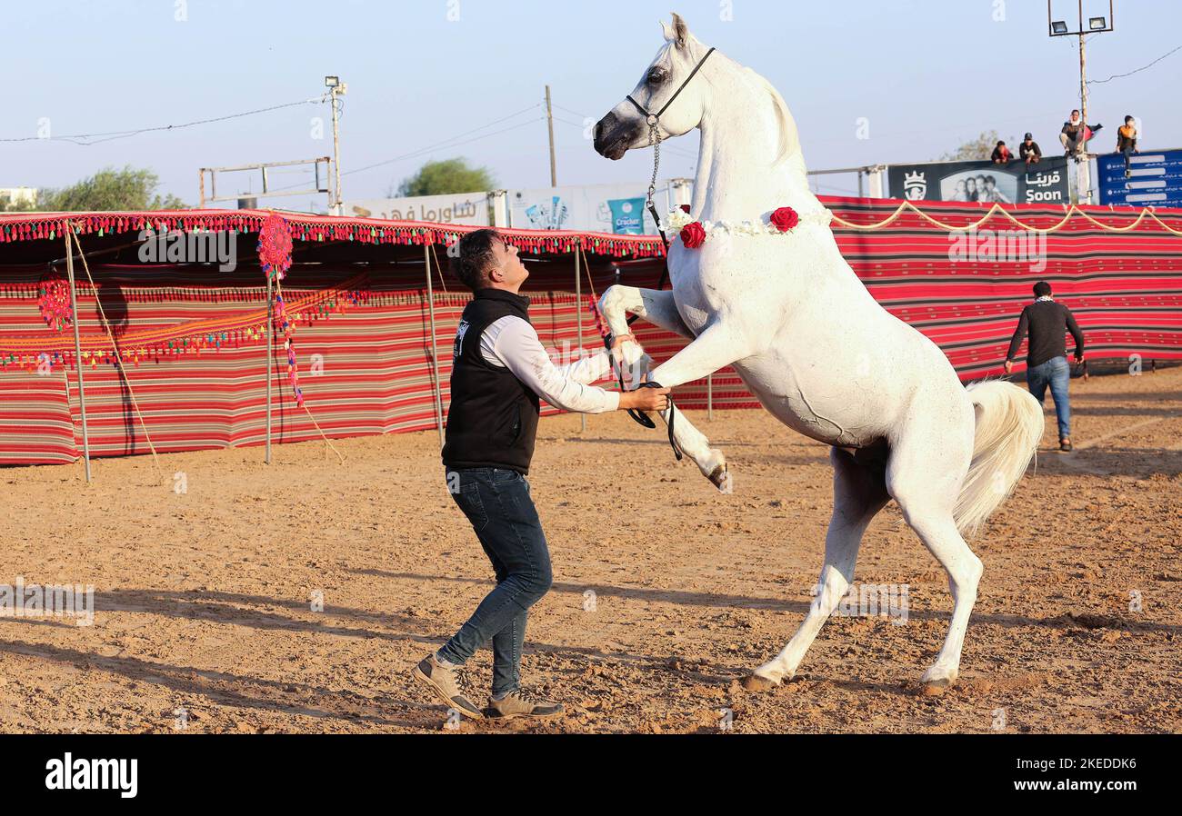 A Palestinian participant displays the skills of his horse during the ...