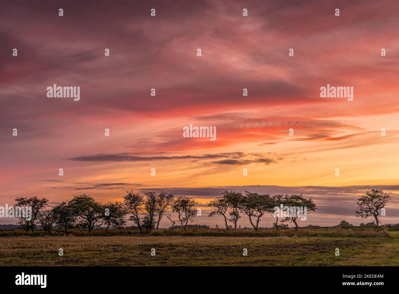 Ponteland hi-res stock photography and images - Alamy