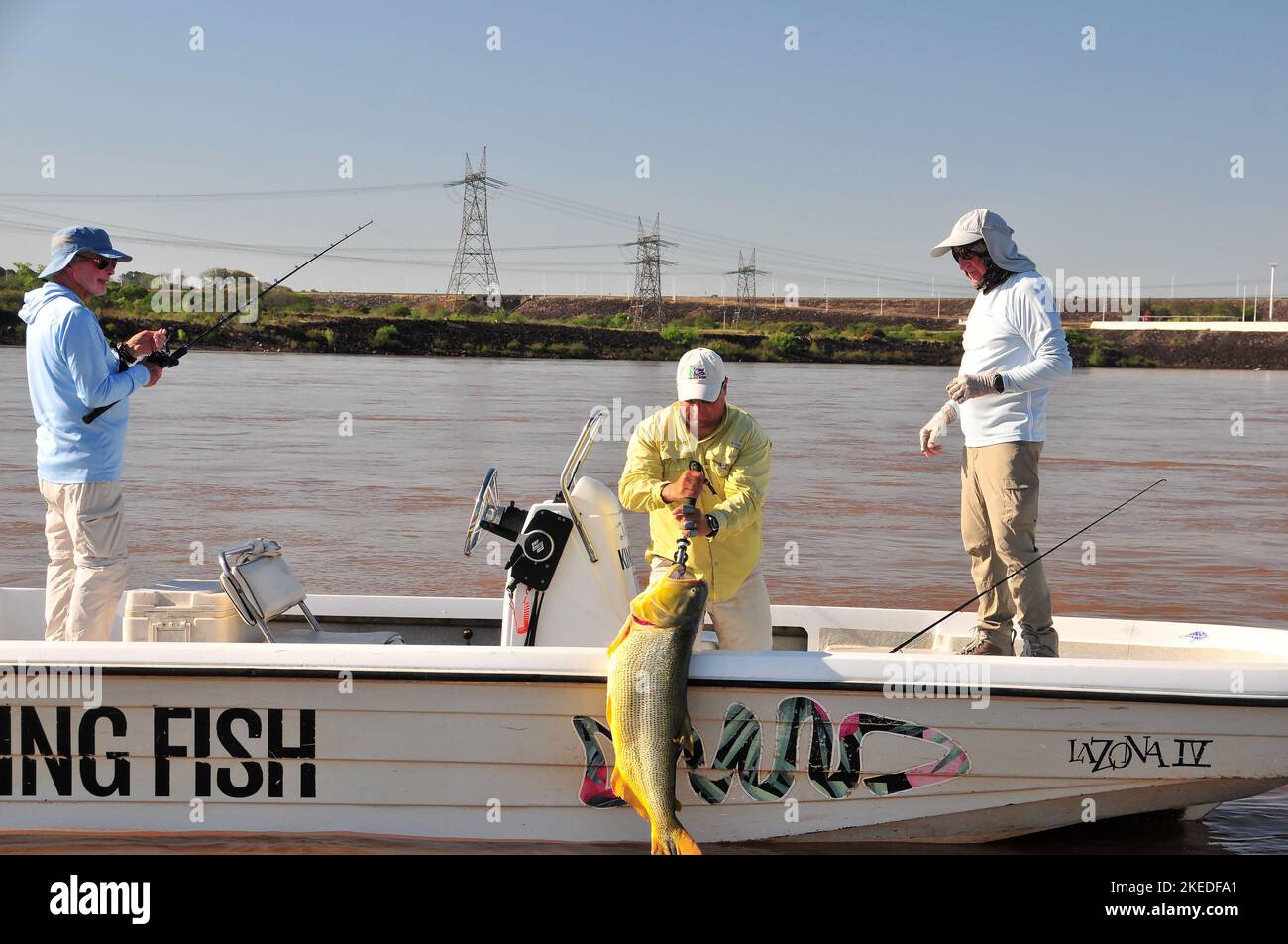 Golden dorado fish river hi-res stock photography and images - Alamy