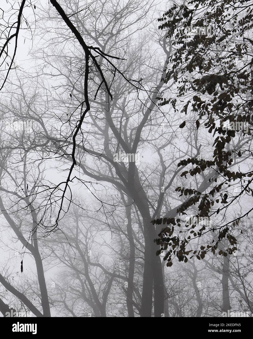 Goth doom hi-res stock photography and images - Alamy