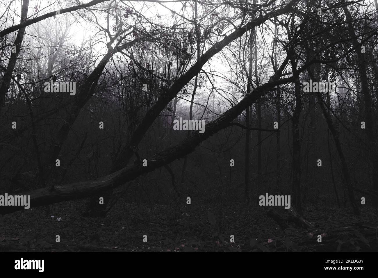 Goth doom hi-res stock photography and images - Alamy