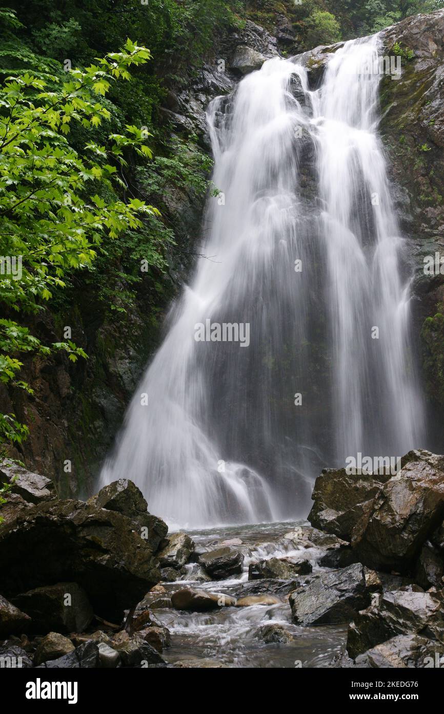 Located in Yalova, Turkey, Su Falling Waterfall is one of the protected ...