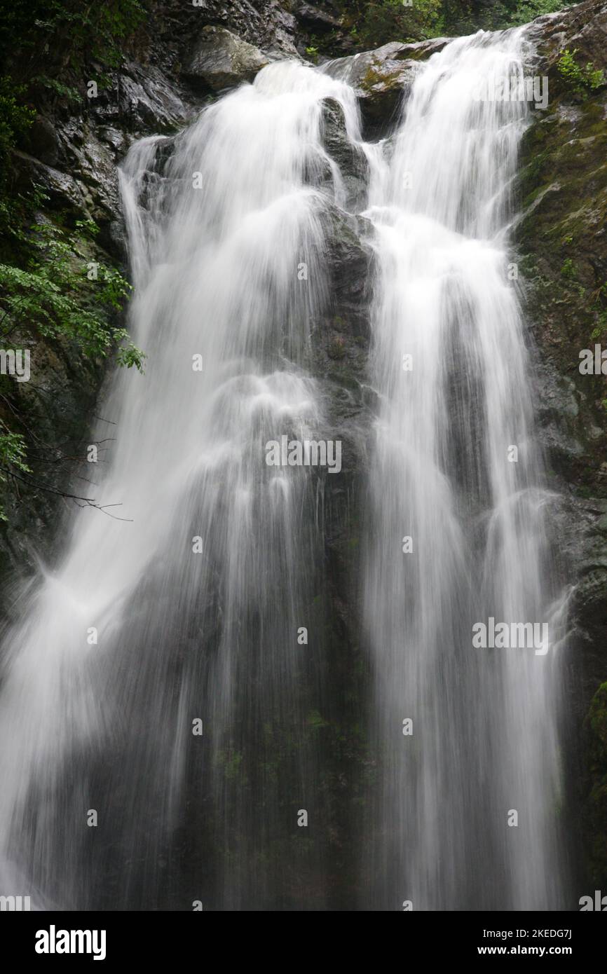 Located in Yalova, Turkey, Su Falling Waterfall is one of the protected ...