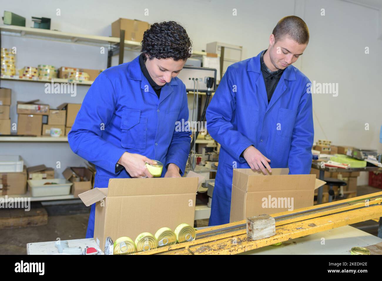 factory workers packing tins into box Stock Photo - Alamy