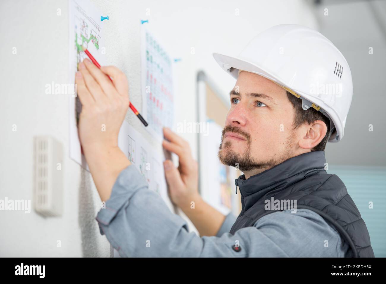 builder is checking the planning Stock Photo - Alamy