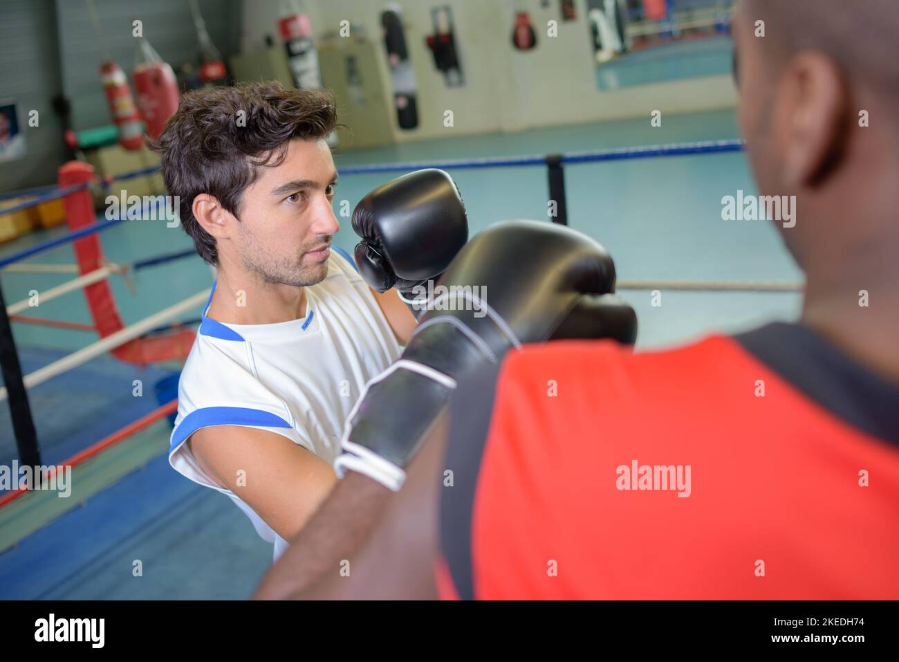 Two men in boxing ring Stock Photo - Alamy