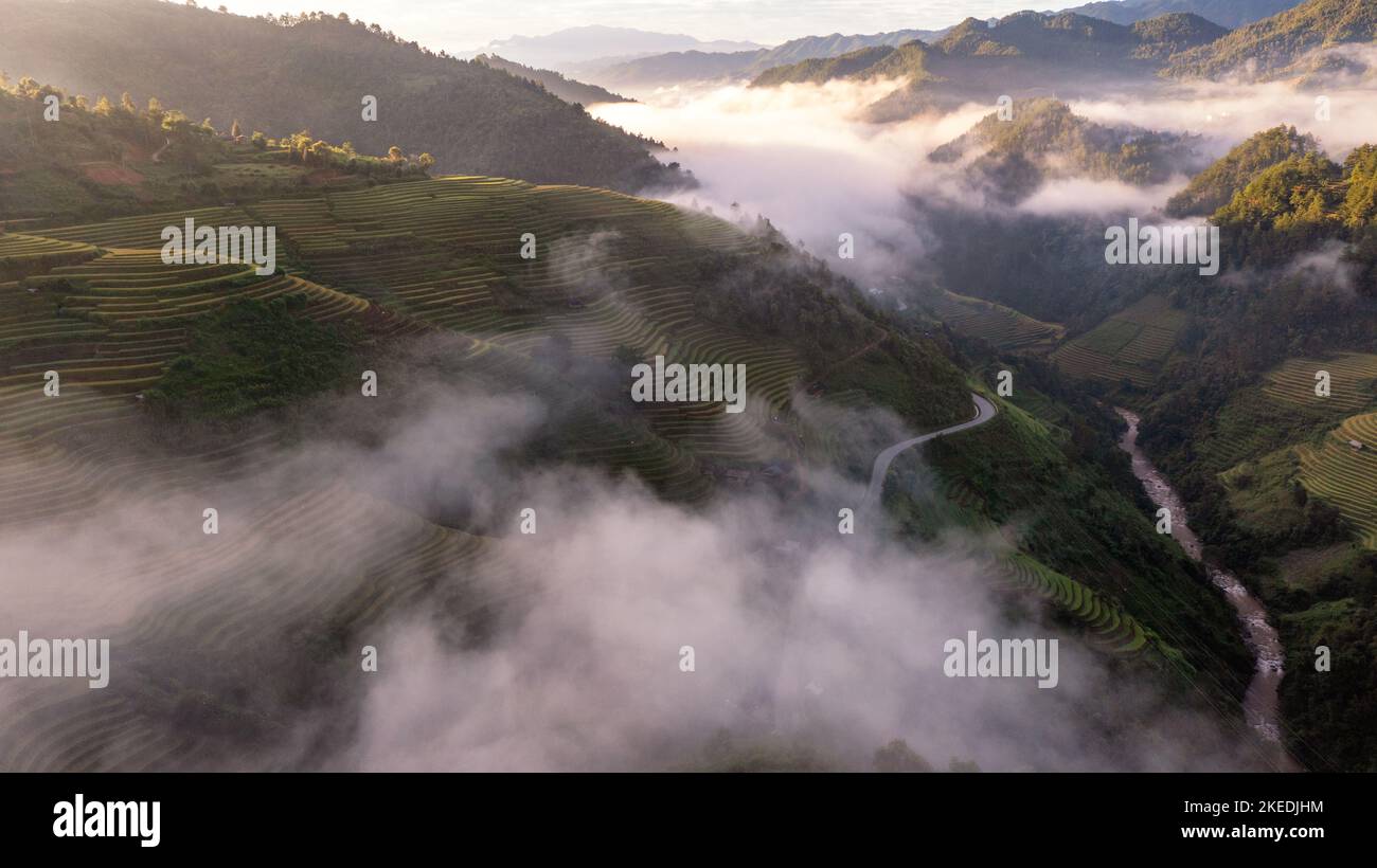 Rice fields on terraced of Mu Cang Chai, YenBai, Vietnam. Rice fields ...