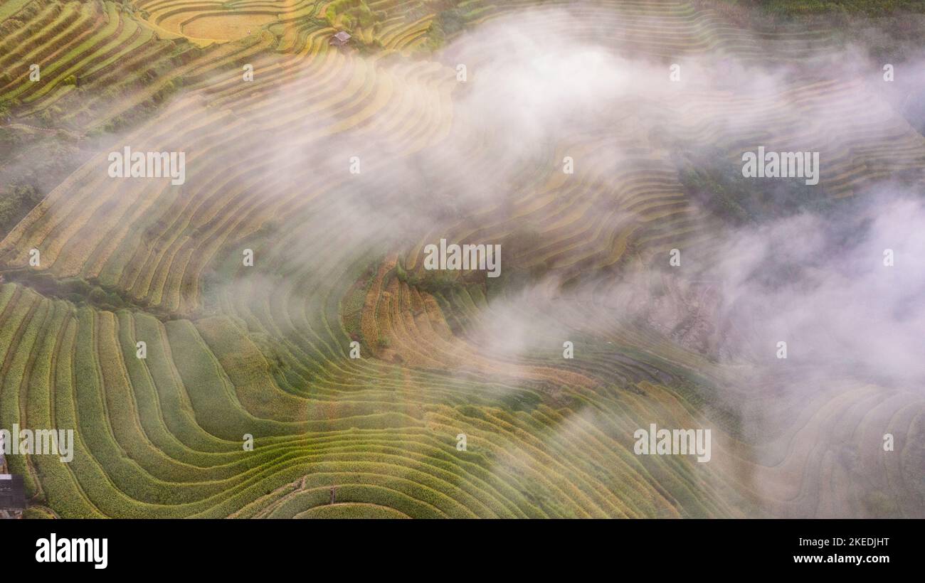 Rice fields on terraced of Mu Cang Chai, YenBai, Vietnam. Rice fields ...