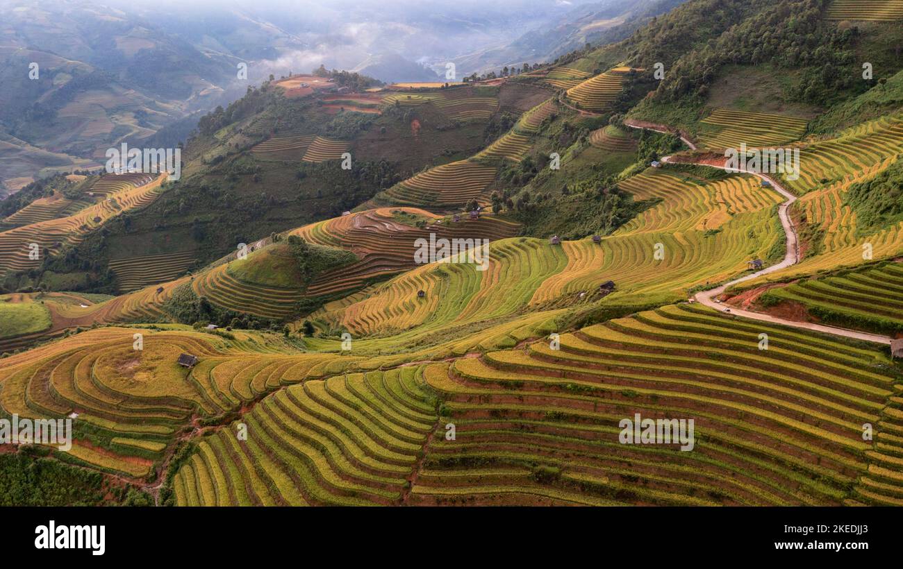Rice fields on terraced of Mu Cang Chai, YenBai, Vietnam. Rice fields ...